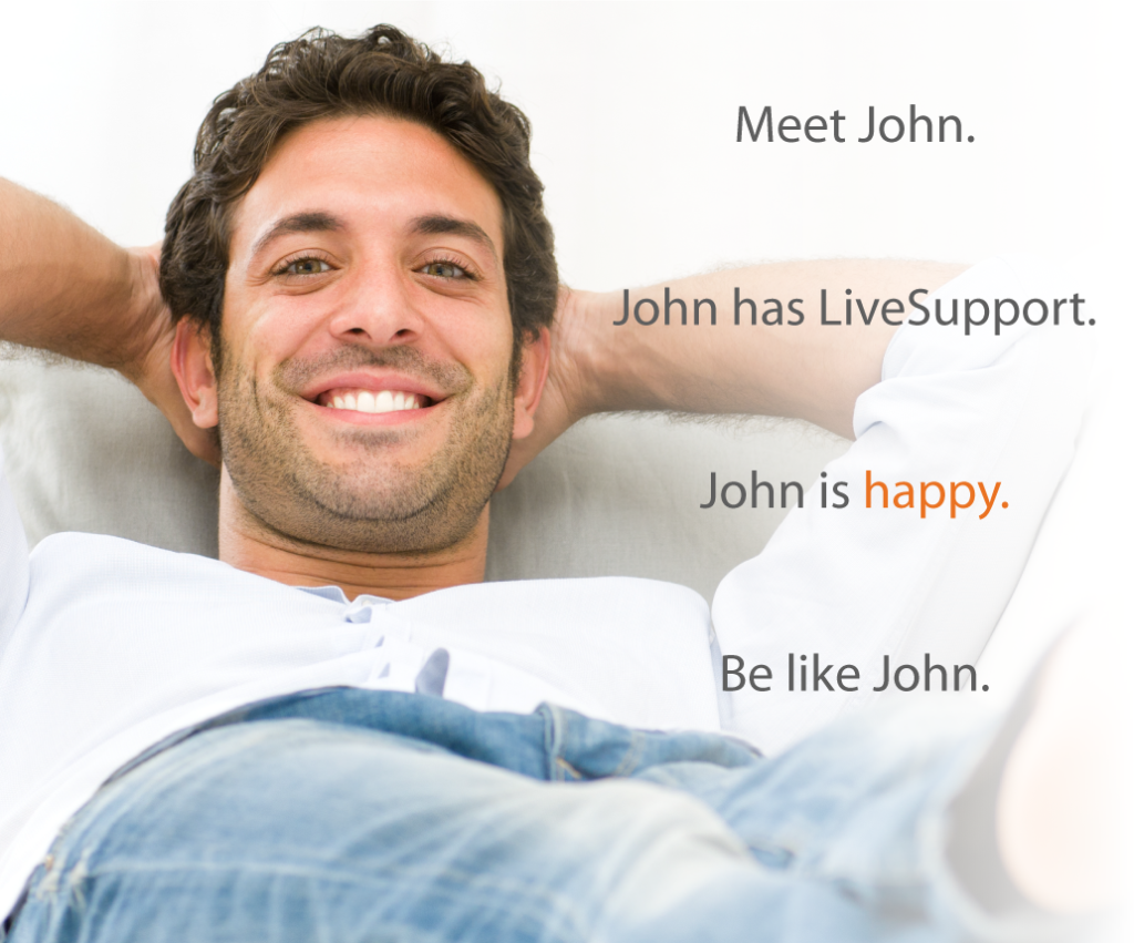 LiveSupport Overview | System Won